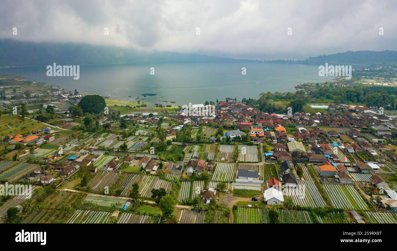 Vegetable plantations in the Bedugul area of Bali, Indonesia. Near ...