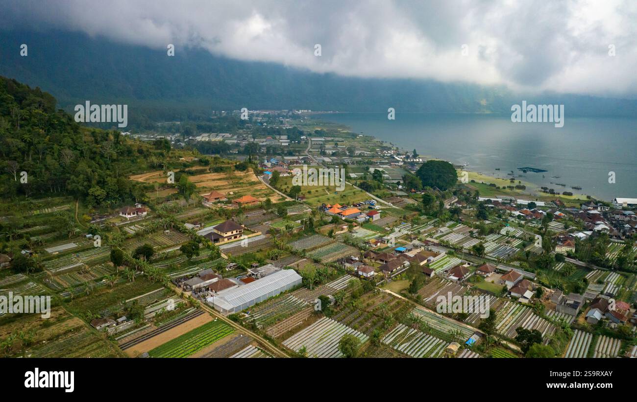 Vegetable plantations in the Bedugul area of Bali, Indonesia. Near ...