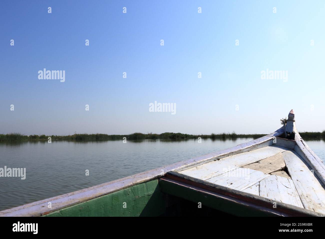 a boat trip in the marshlands of iraq near Chibayish, Chabaish ...