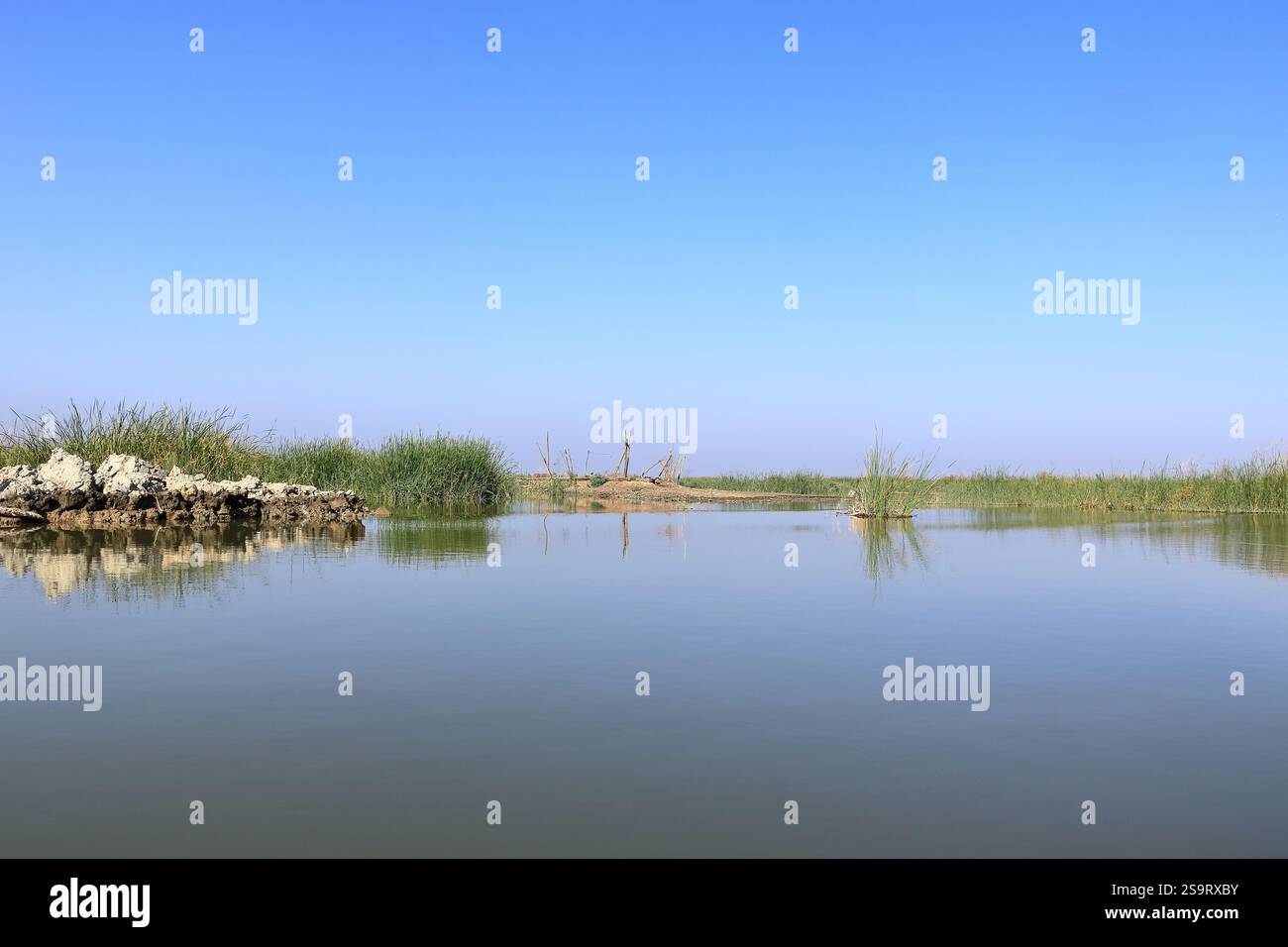a boat trip in the marshlands of iraq near Chibayish, Chabaish ...