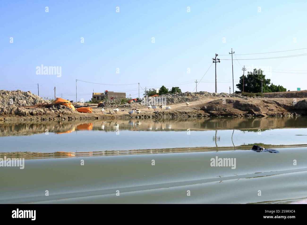a boat trip in the marshlands of iraq near Chibayish, Chabaish ...