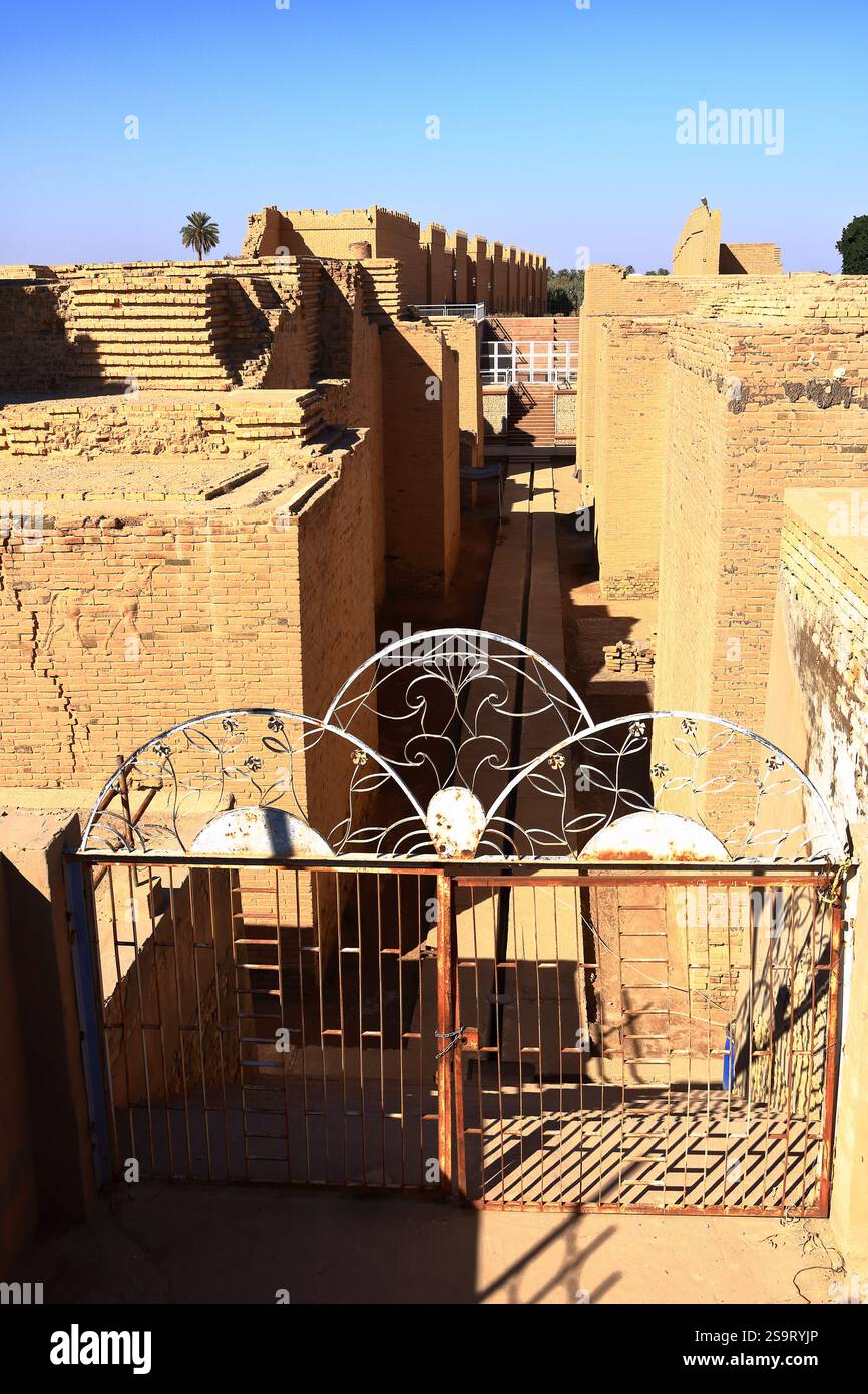 the Street of Procession in the ancient city of Babylon, iraq Stock ...