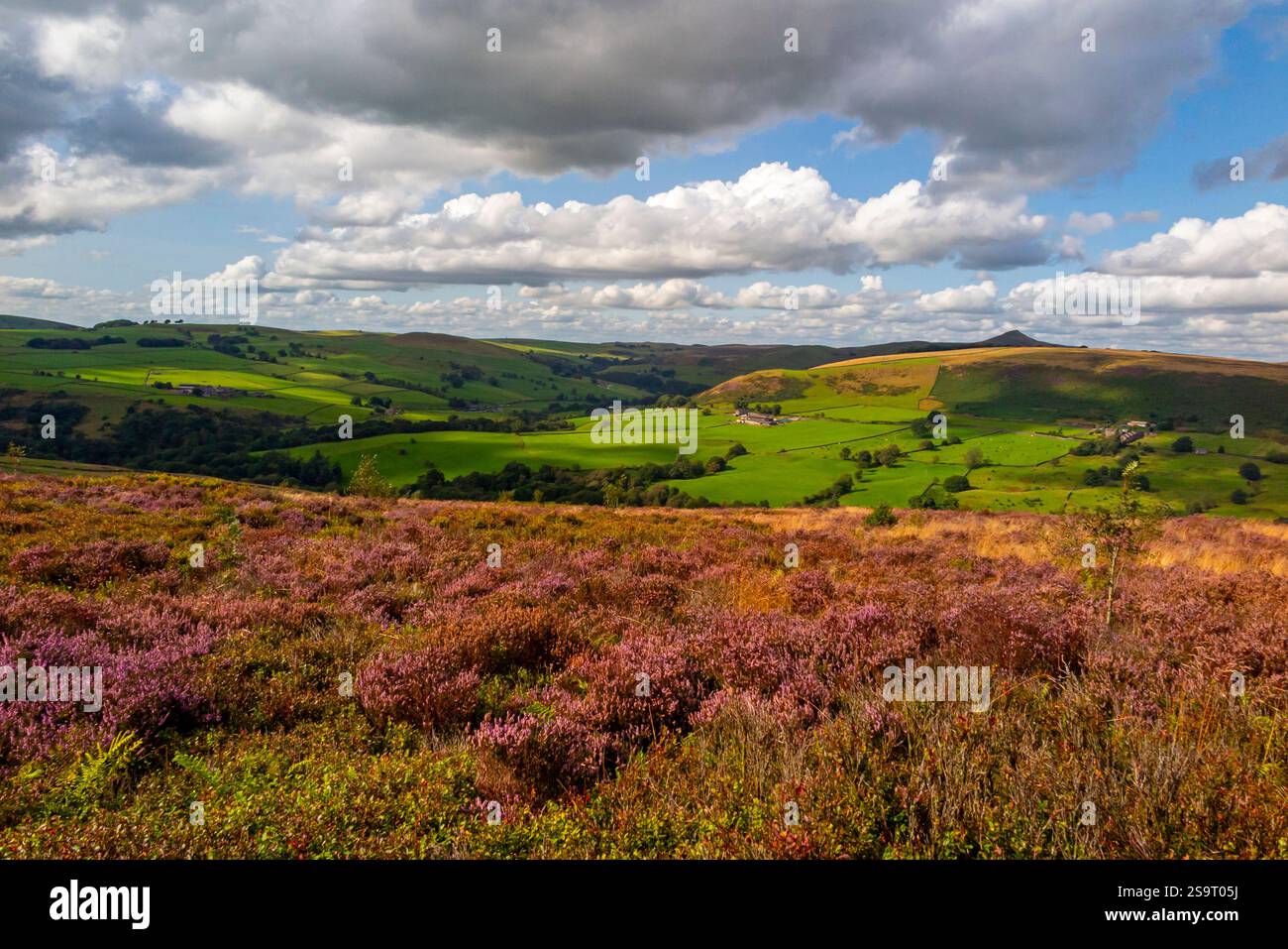 View in summer looking over the Dane Valley towards Shutlingsloe in the ...