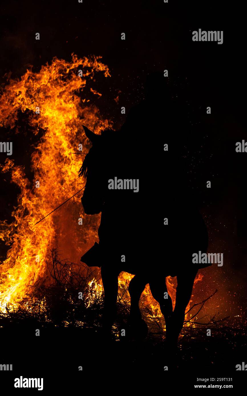 16 January 2025, Knights cross bonfires with their horses in an ancient ...