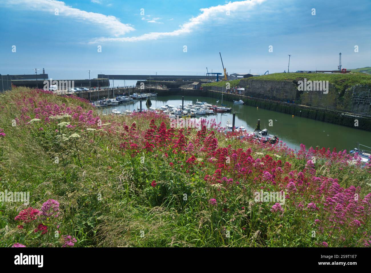 Seaham marina with many boats and pleasure craft moored. Seaham is in ...