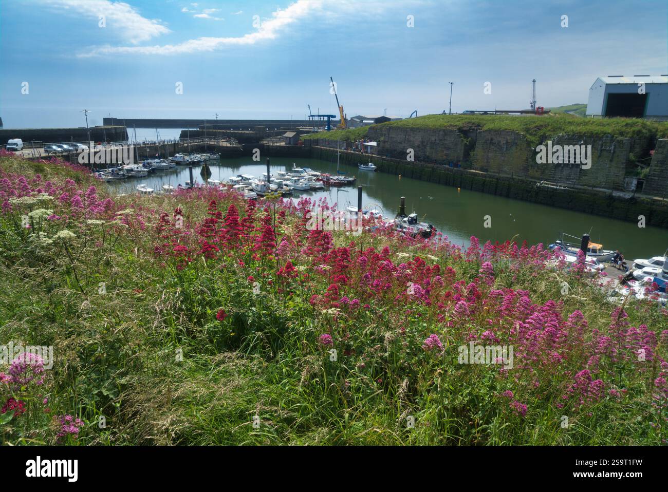 History of seaham hi-res stock photography and images - Alamy