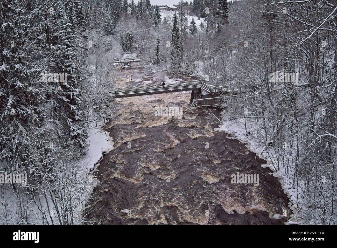 Aerial view of footbridges that crosses over Vantaanjoki river in ...