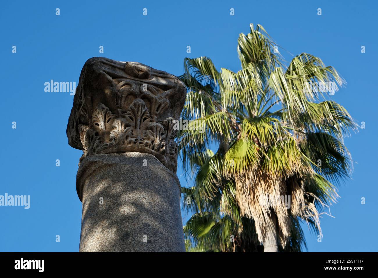 Ancient column in the Antalya Archaeological Museum Stock Photo - Alamy