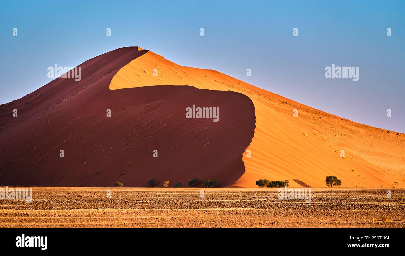 Dunes in the Sossusvlei in the evening golden hour light, exhibiting ...