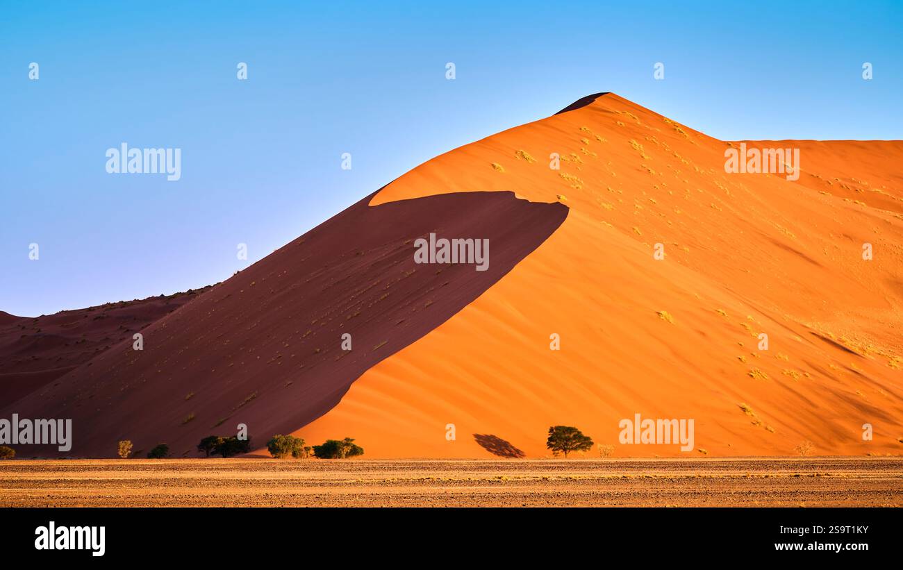 Dunes in the Sossusvlei in the evening golden hour light, exhibiting ...