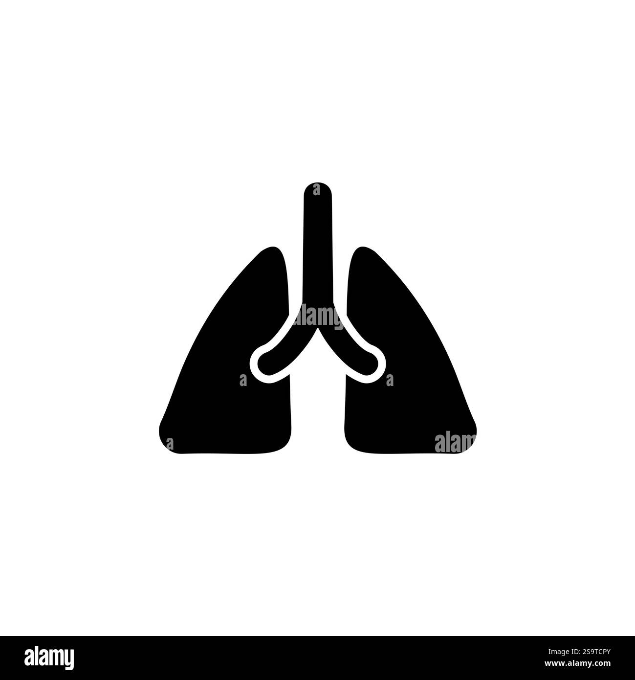 Lungs, Respiratory System, Human Organ Solid Flat Vector Icon Isolated ...
