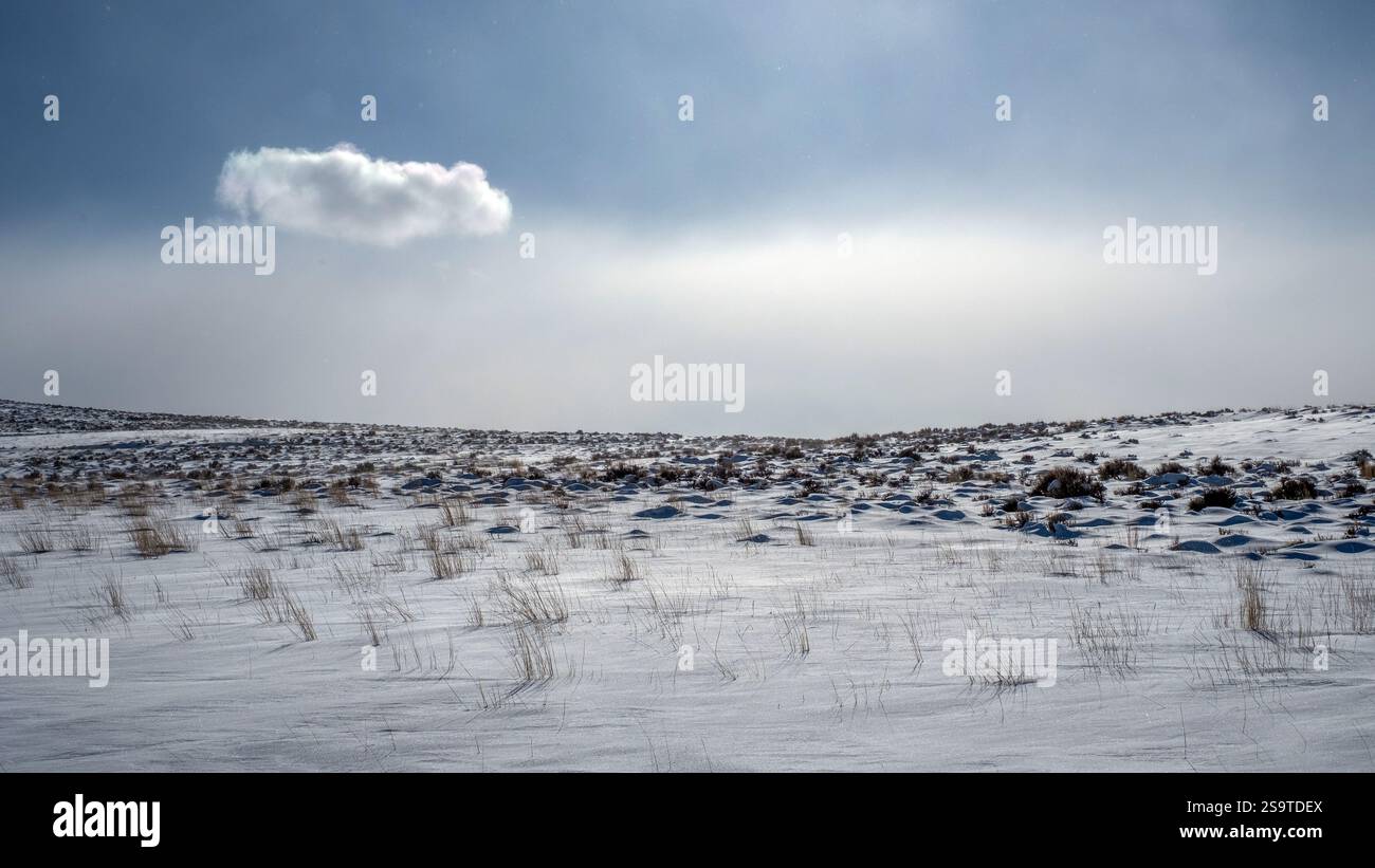 January 20, 2025: A strong arctic air mass brings frigid temperatures ...