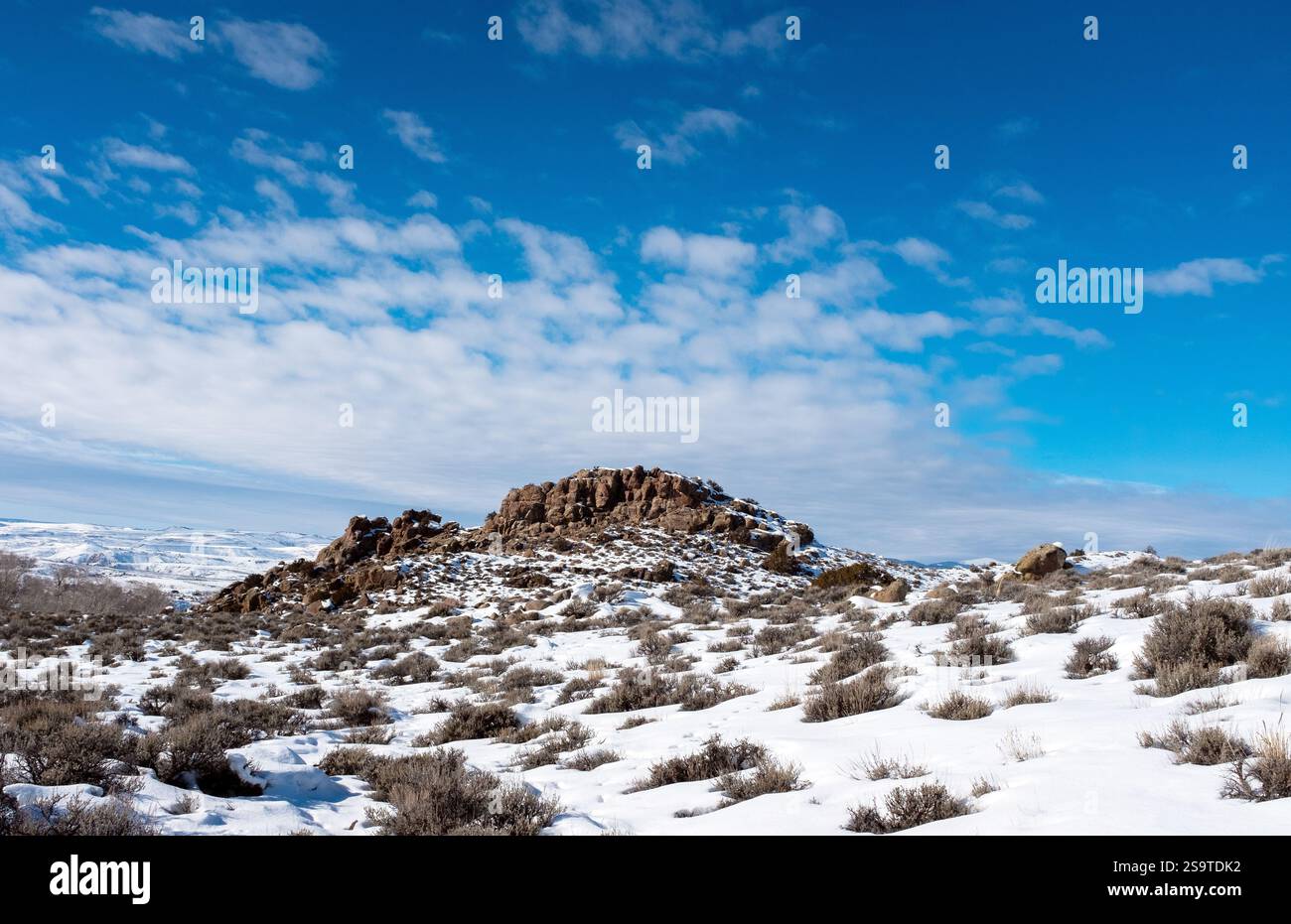 January 20, 2025: A strong arctic air mass brings frigid temperatures ...