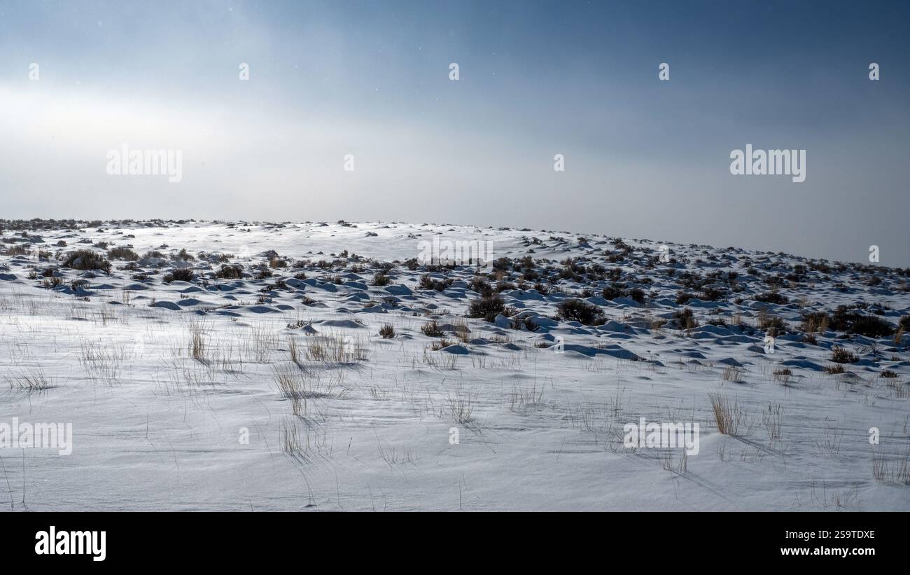 January 20, 2025: A strong arctic air mass brings frigid temperatures ...