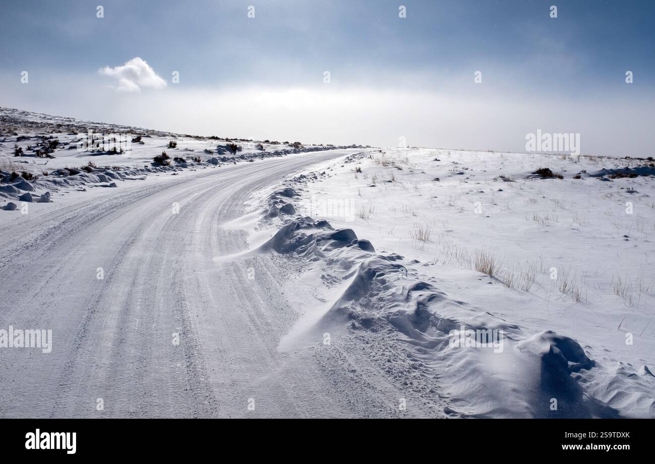 January 20, 2025: A strong arctic air mass brings frigid temperatures ...