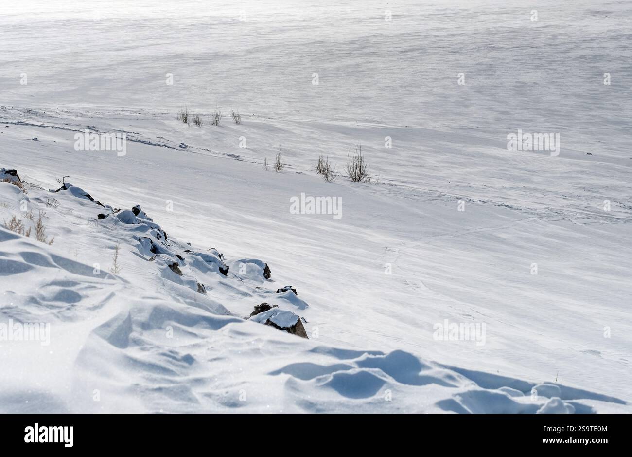 January 20, 2025: A strong arctic air mass settles over Blue Mesa ...