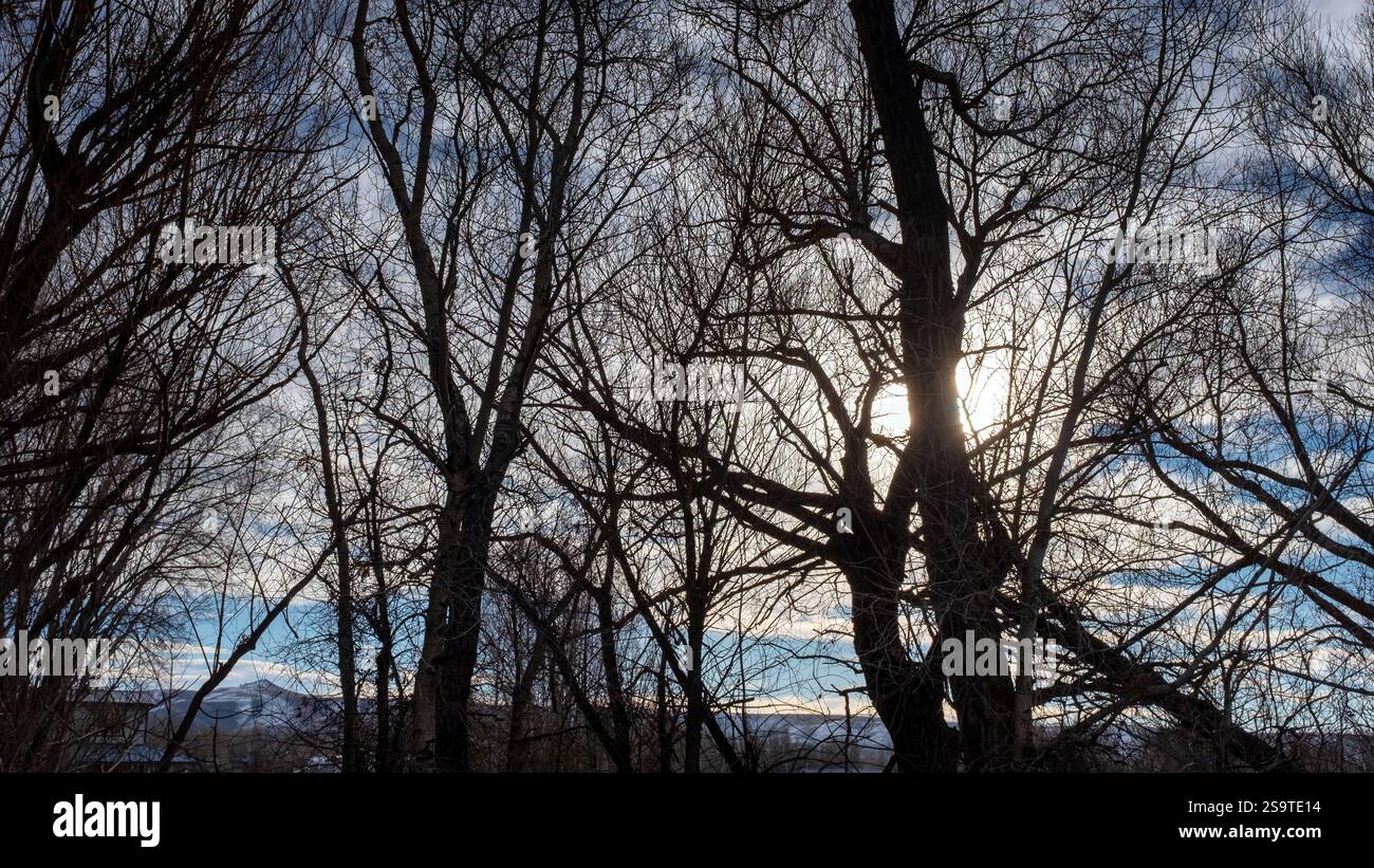 January 20, 2025: Late afternoon deep winter light is a prelude to a ...