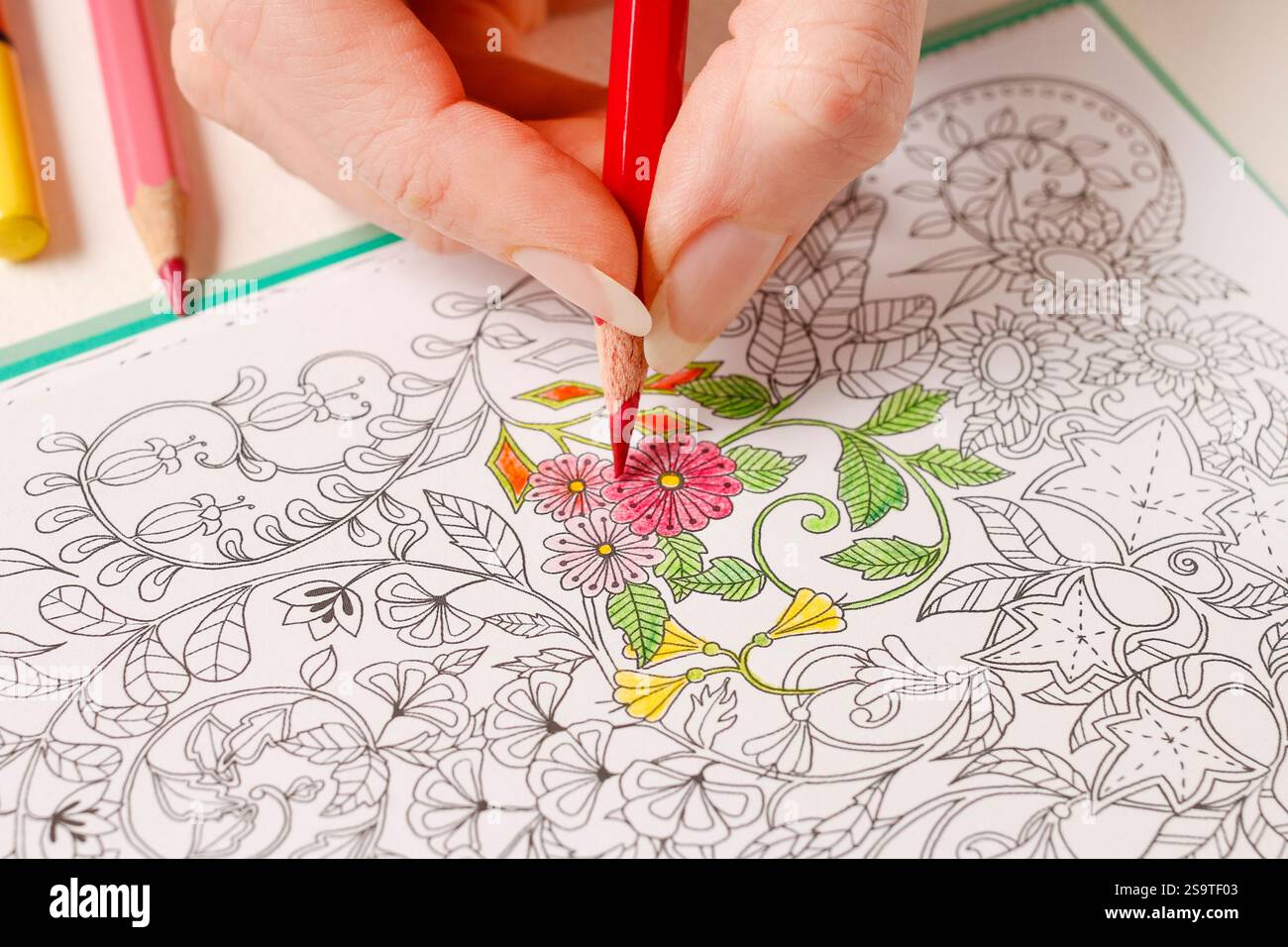 Adult coloring book. Hobby time Stock Photo - Alamy