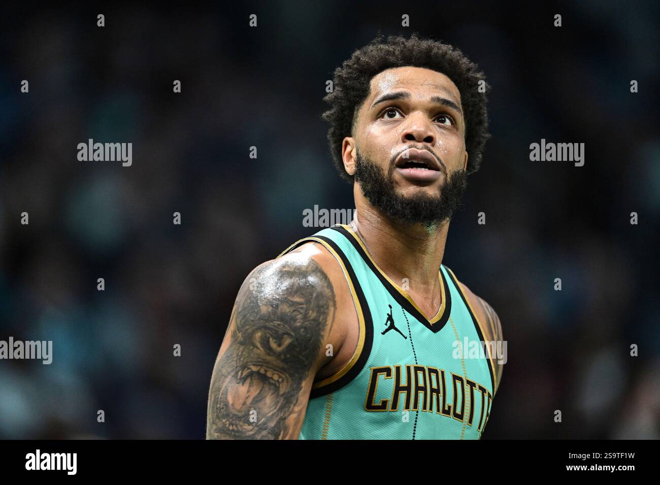 Charlotte Hornets forward Miles Bridges looks on during the second half ...