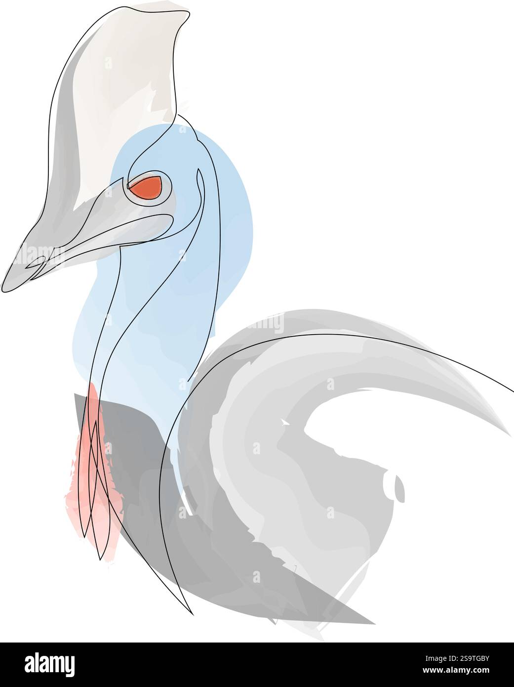 Elegant cassowary giant bird line drawing. Modern abstract watercolor ...