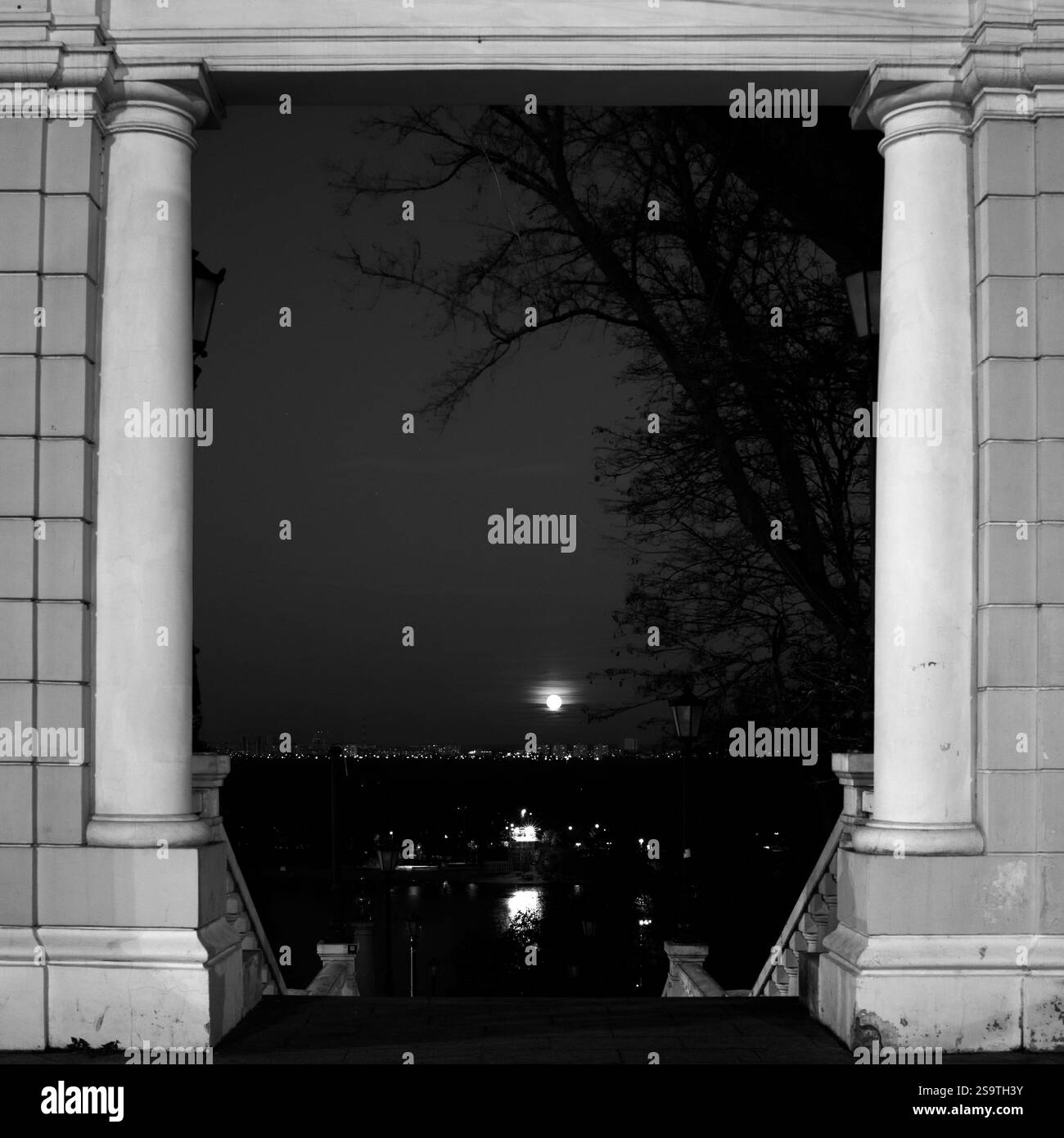 full moon, moon disk Stock Photo - Alamy