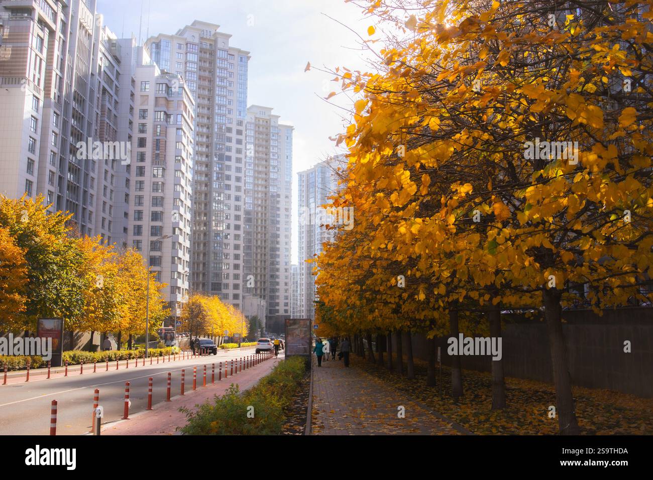 Ukraine, Kiev, 5 October 2023. golden autumn in Novopechersk district ...
