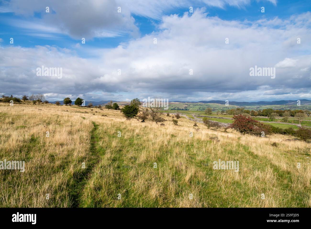 Cunswick Scar, a limestone landscape near Kendal in the Lake District ...