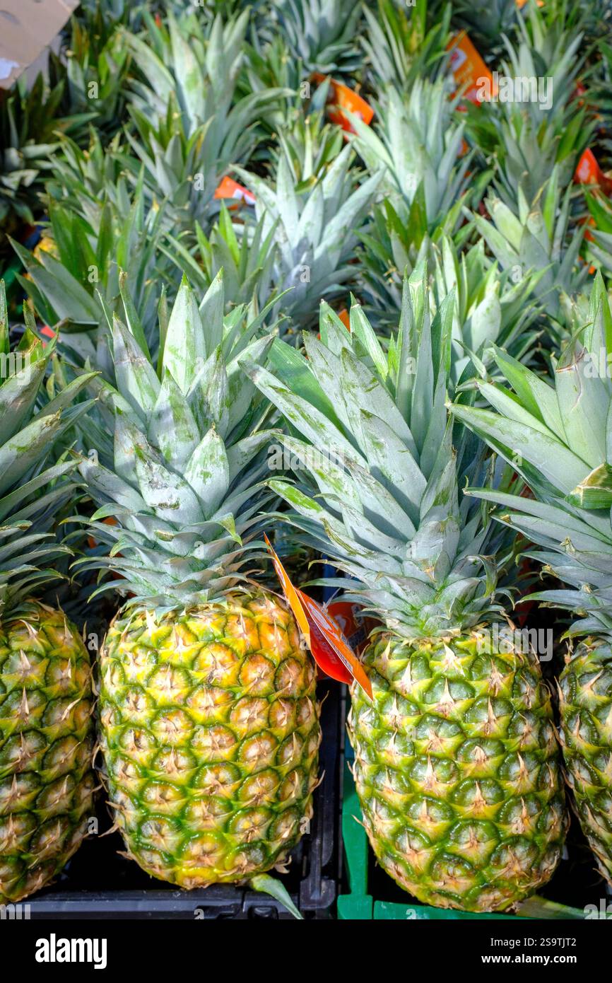 Pineapples on sale(Ananas comosus) on display in Supermarket counter,UK ...