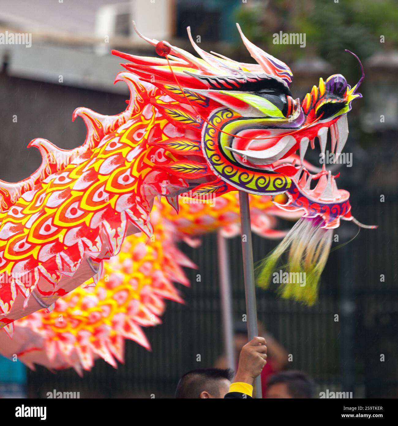 Dragon dancing during the Guan Di Festival in Saint Denis, Reunion ...