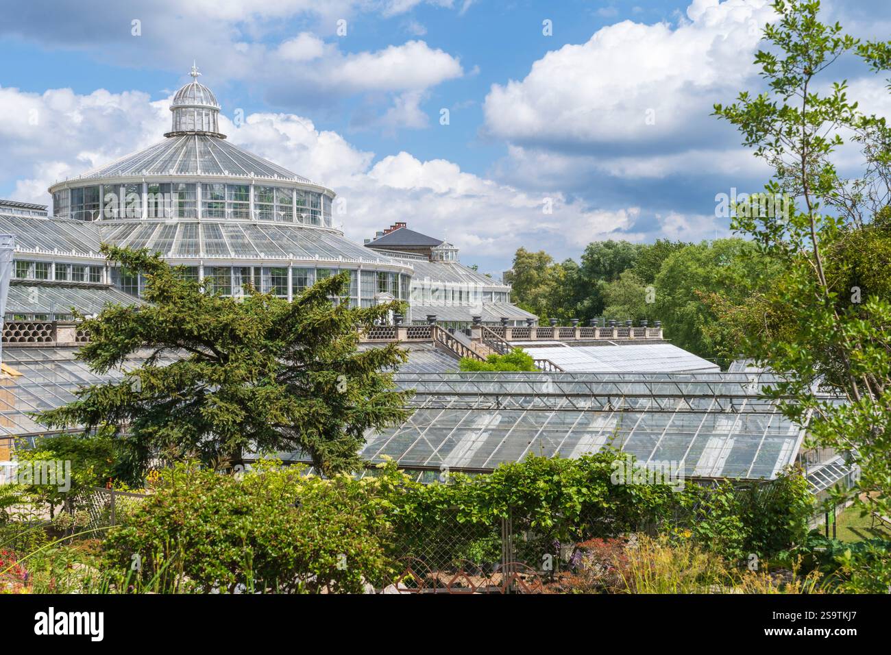 The Botanical Gardens with Butterfly House and a Tropical Palm House in ...