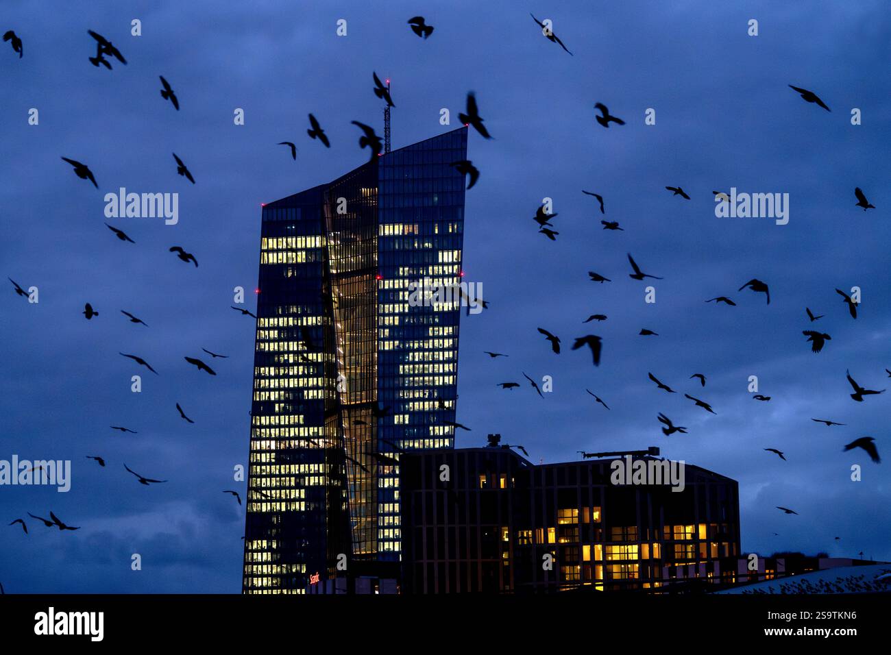 Crows fly near the European Central Bank in Frankfurt, Germany, Monday ...