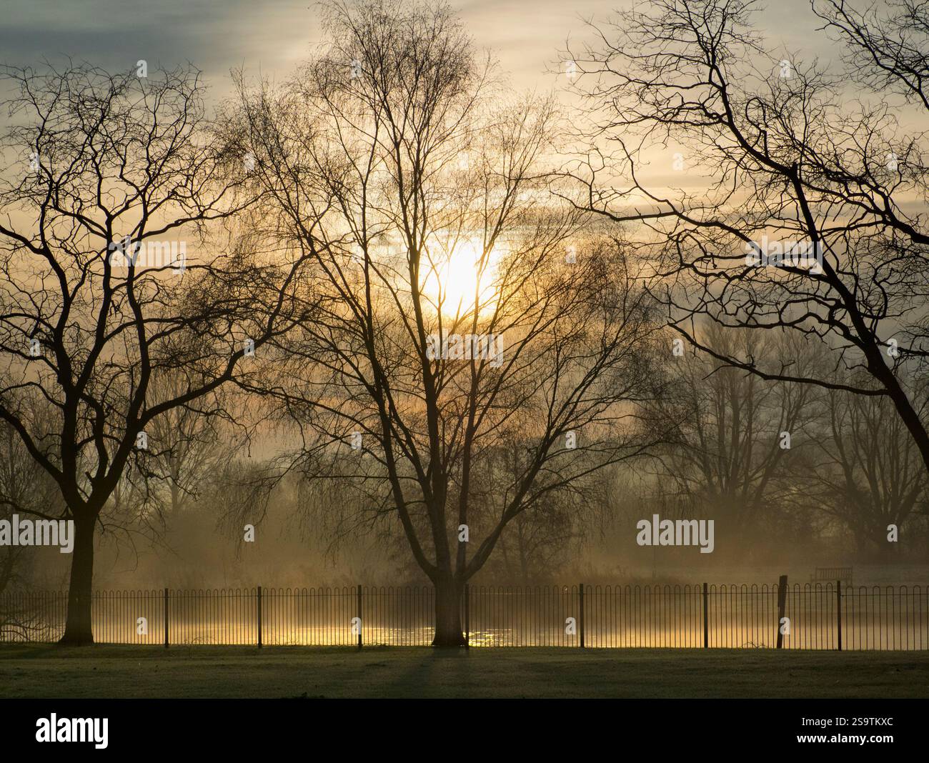 Low sun streaming spectacularly through trees by the Thames at Abingdon ...
