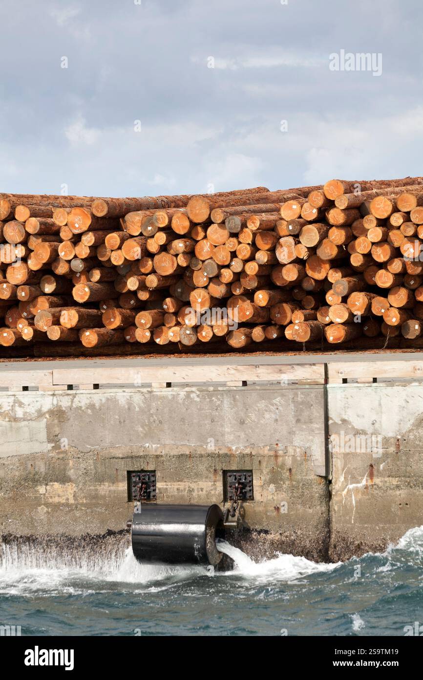 Logs piles on a pier waiting for export Stock Photo - Alamy