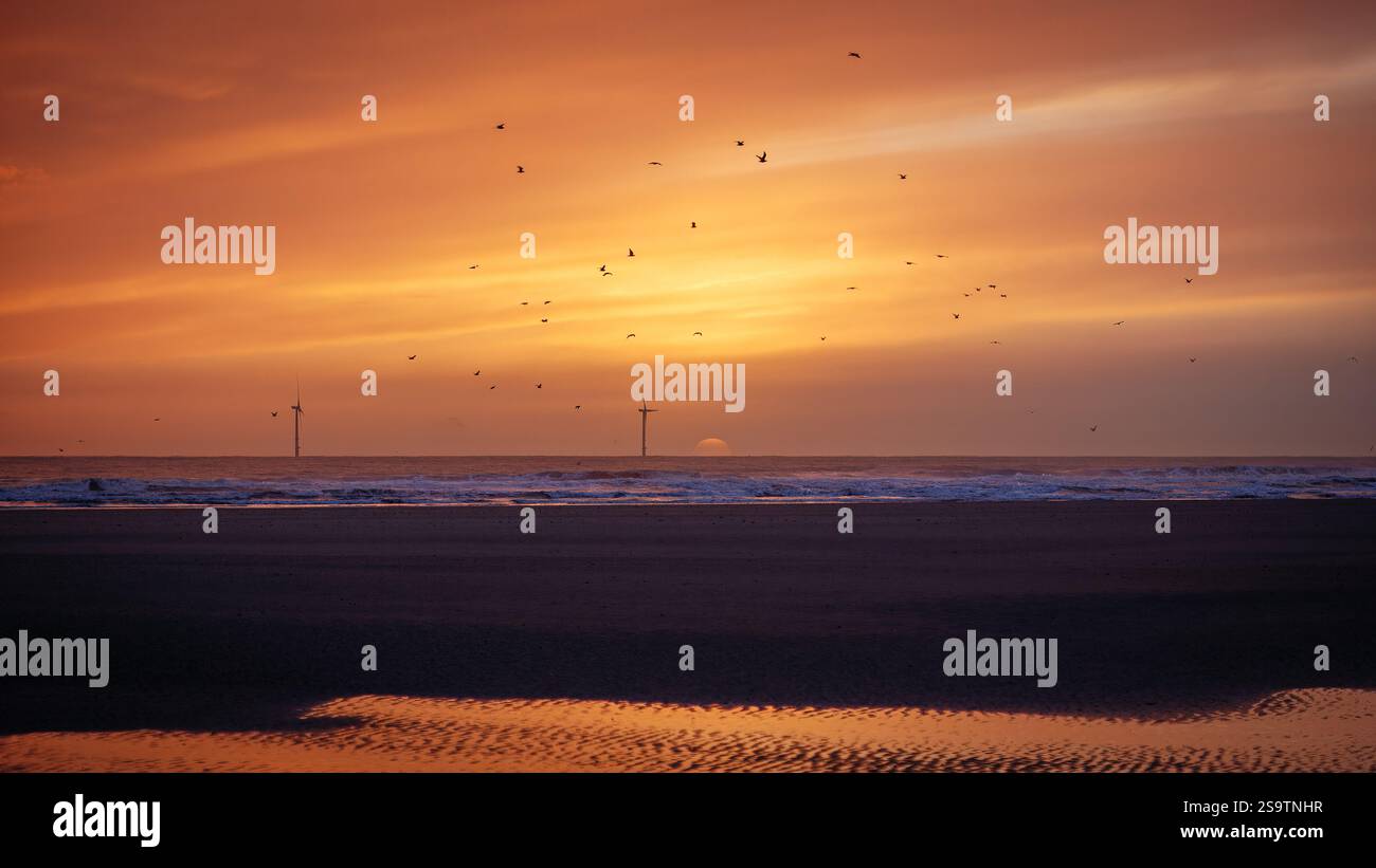 Spectacular Sunrise over Cambois Beach, Northumberland, 2025 Stock ...