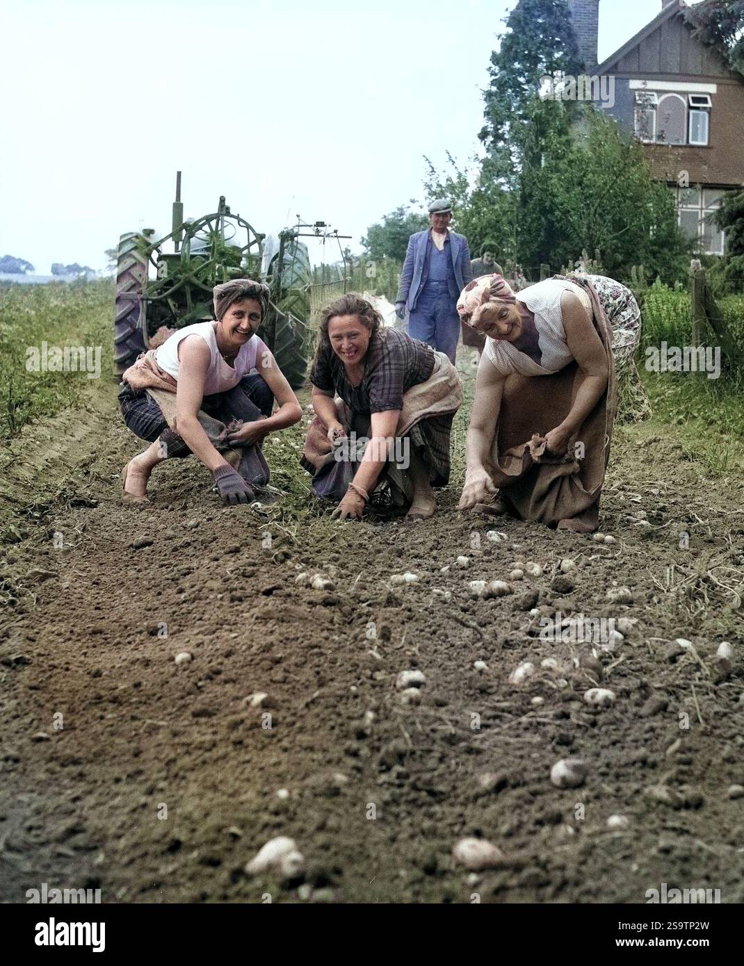 Women Potato picking harvesting Cound in Shropshire Britain 1962 1960s ...