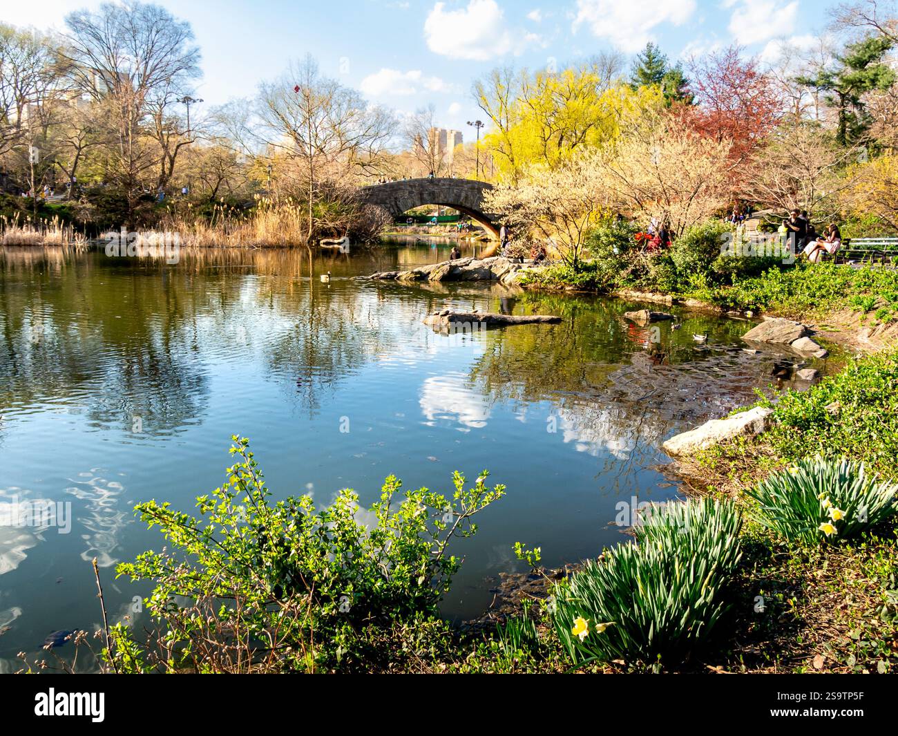 Visitors enjoy a sunny spring day by the pond in Central Park ...