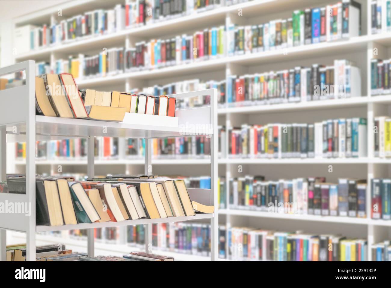 A library shelf holds various books in multiple colors and sizes, rows ...