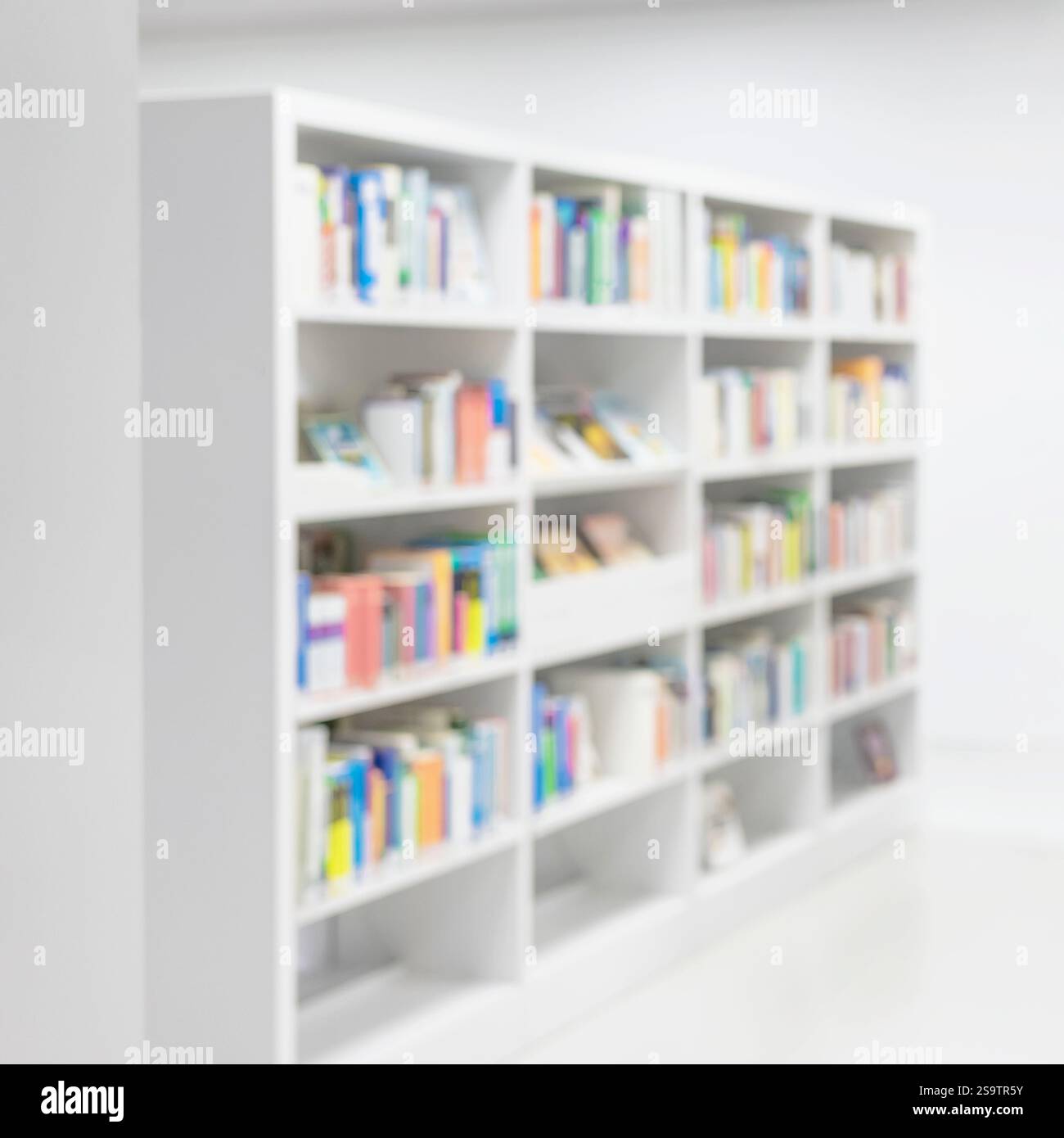 Minimalist library showcases with books variety. Modern library ...