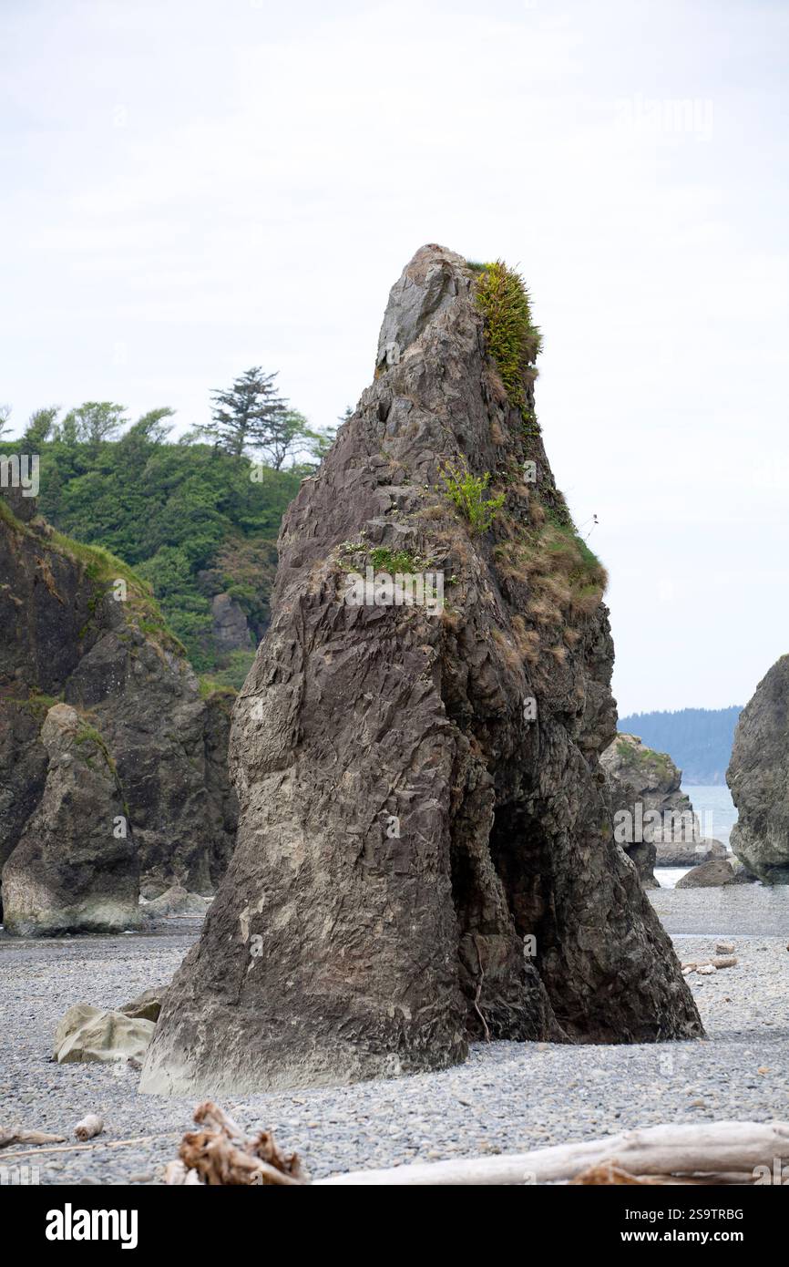 a sea stack at Caon beach Stock Photo - Alamy