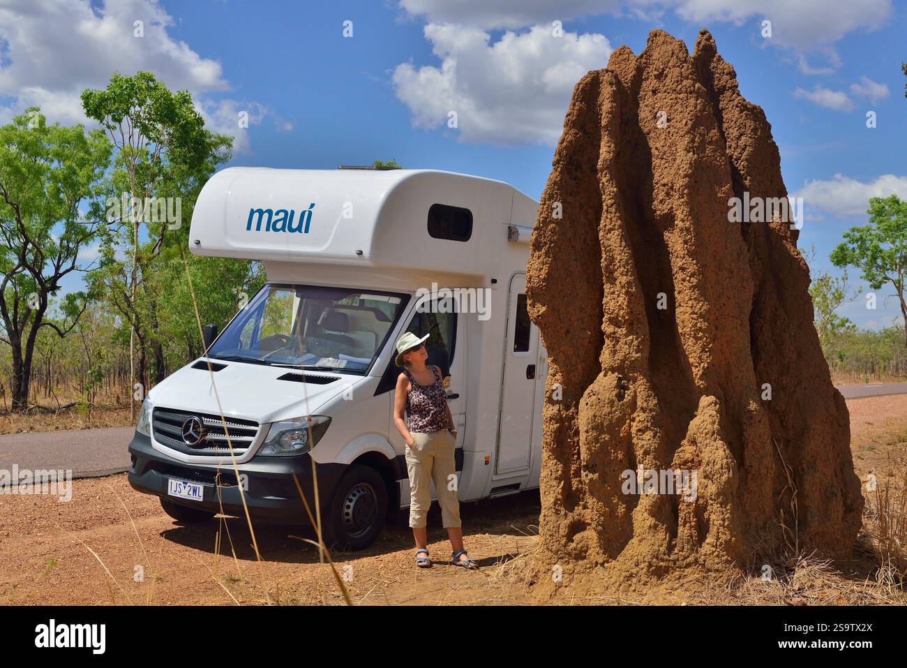 Termite tower hi-res stock photography and images - Alamy