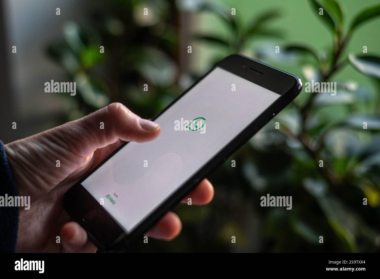Whatsapp icon vector hi-res stock photography and images - Alamy