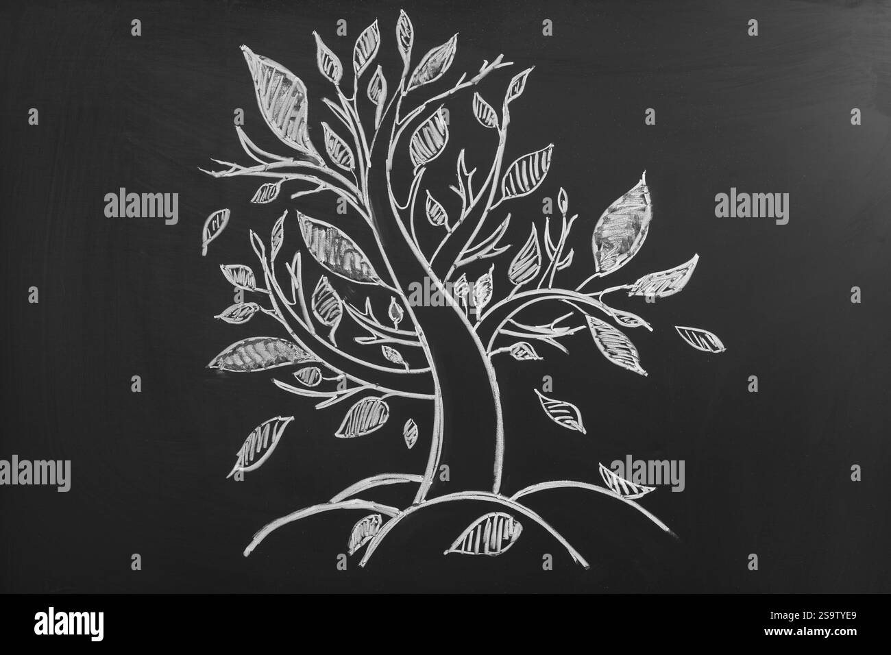 Beautiful drawing of tree on black chalkboard Stock Photo - Alamy