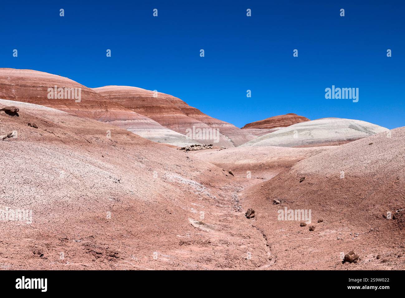 Otherworldly Bentonite Hills in the Utah desert near Hanksville Utah ...