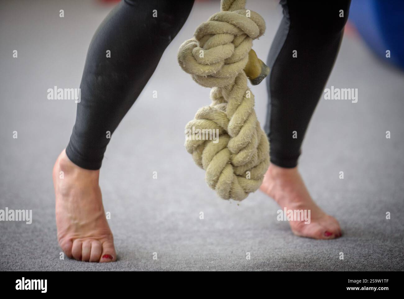 Climbing rope in a gym Stock Photo - Alamy