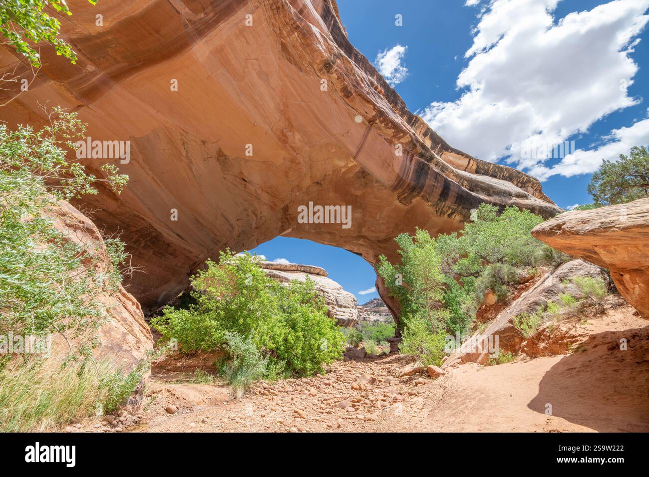 Kachina Natural Bridge in Natural Bridges National Monument, Utah, USA ...