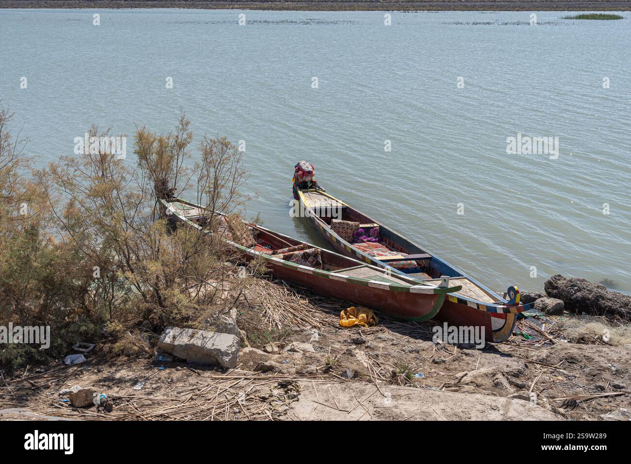 Mesopotamian Marshes, habitat of Marsh Arabs aka Madans near Basra Iraq ...