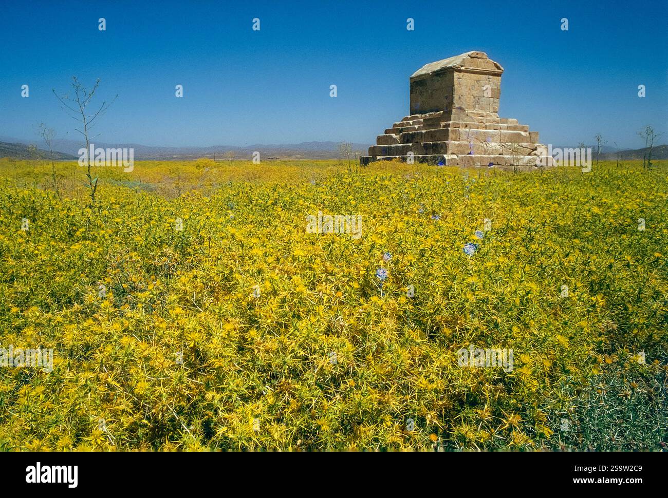 The image is of what remains of the UNESCO World Heritage site of Cyrus ...