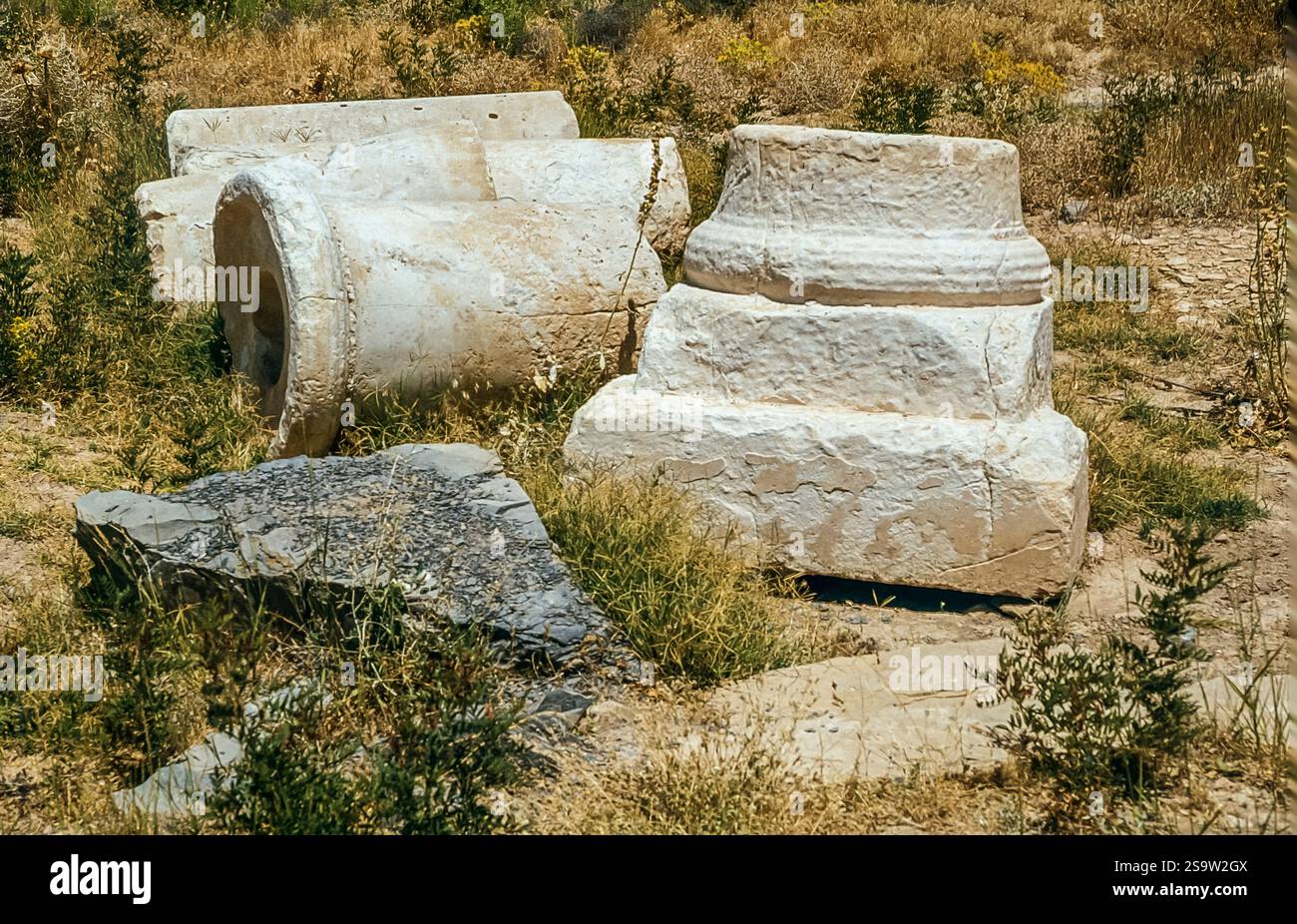 The image of collapsed columns is of what remains of the UNESCO World ...