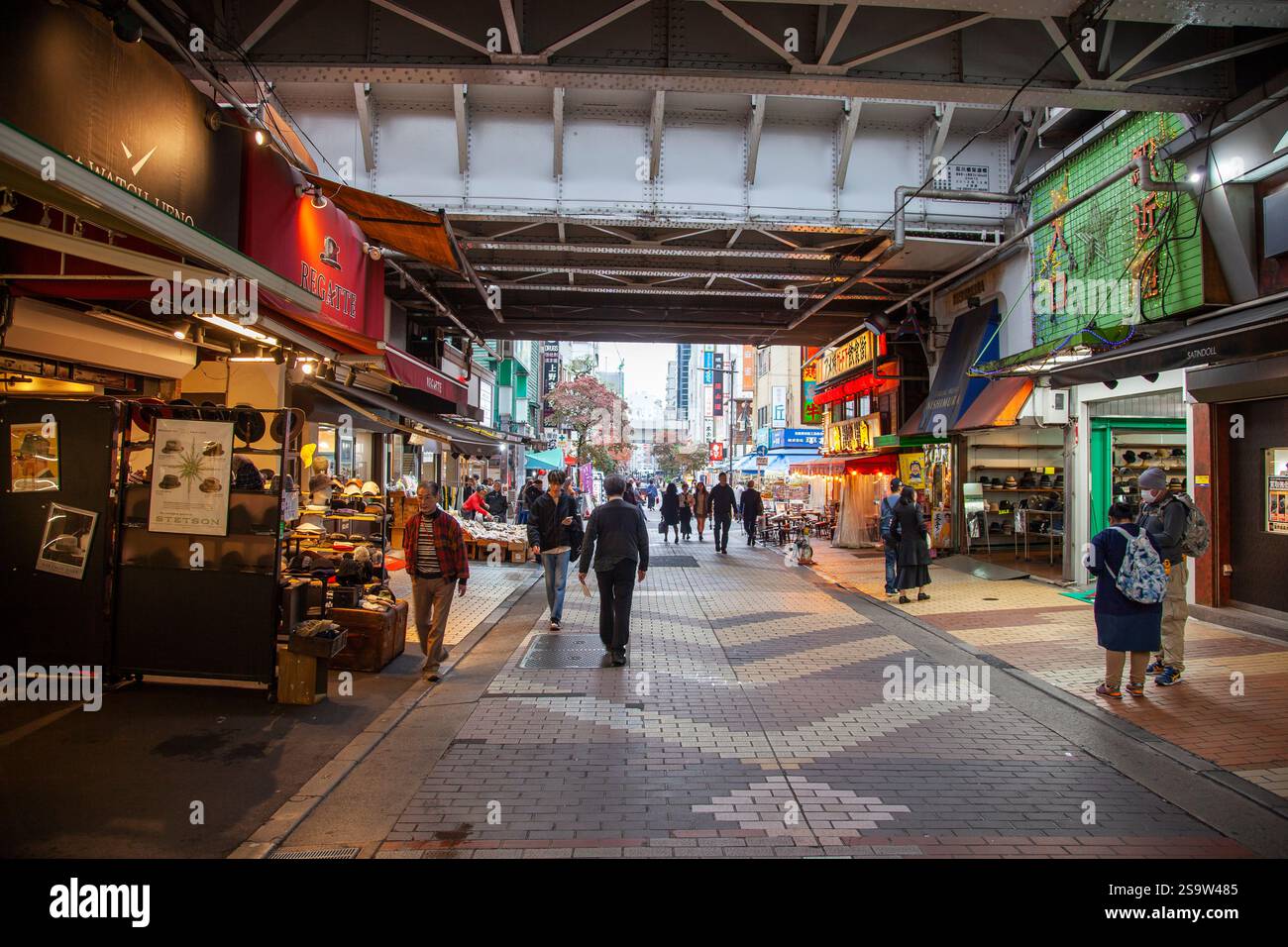 Shops and restaurants in the famous shopping district Ueno Ameyoko Shopping Street in Eueno ...