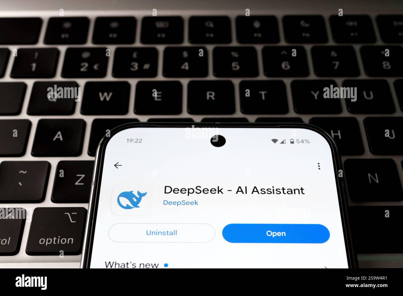DeepSeek AI app in android app store with the option to open and delete ...